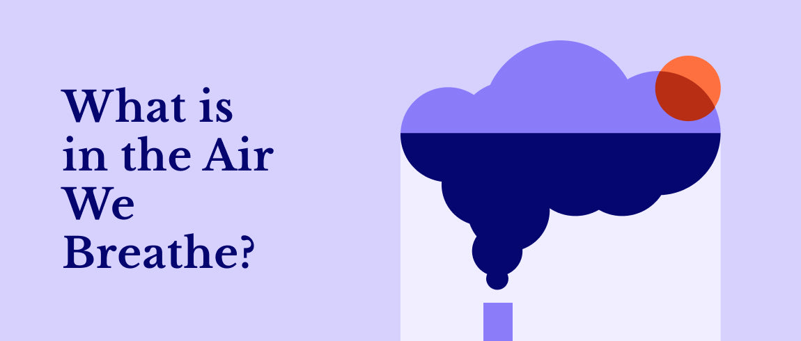 What is in the Air We Breathe? - Aura Air Blog
